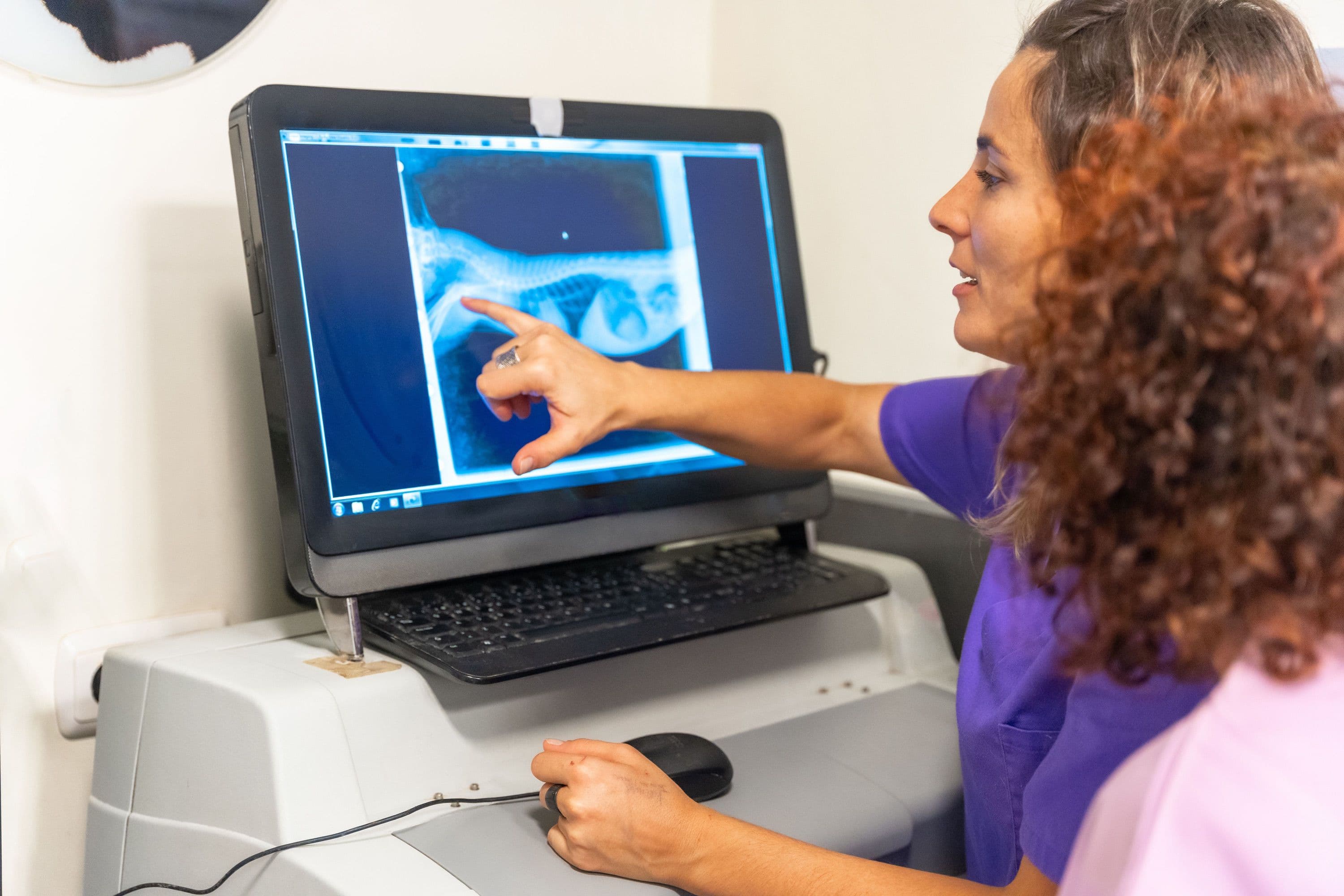 Understanding ARRT® Radiography Registry Examination Competencies | Prepry