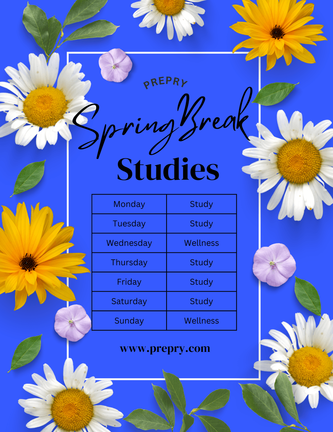 Spring Break Study Guide: Balancing Relaxation and Learning | Prepry